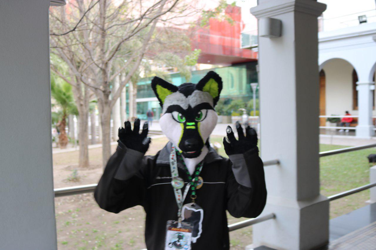 Furmeet XXIV @ Paseo del Buen Pastor – 07/07/2019 – by CordobaFurs ...